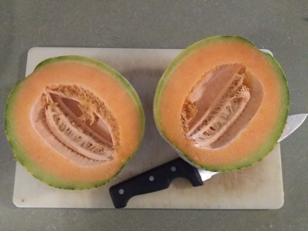 A Tale of Two Melons: A fall harvest story ~ Nature to You