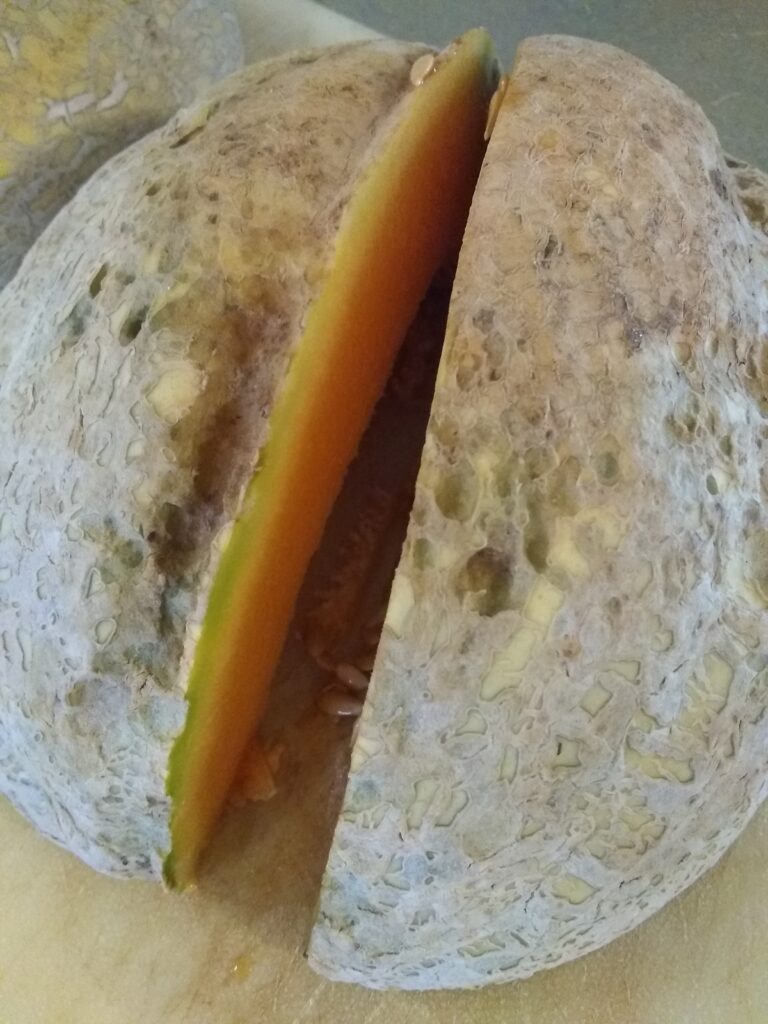A Tale of Two Melons: A fall harvest story ~ Nature to You